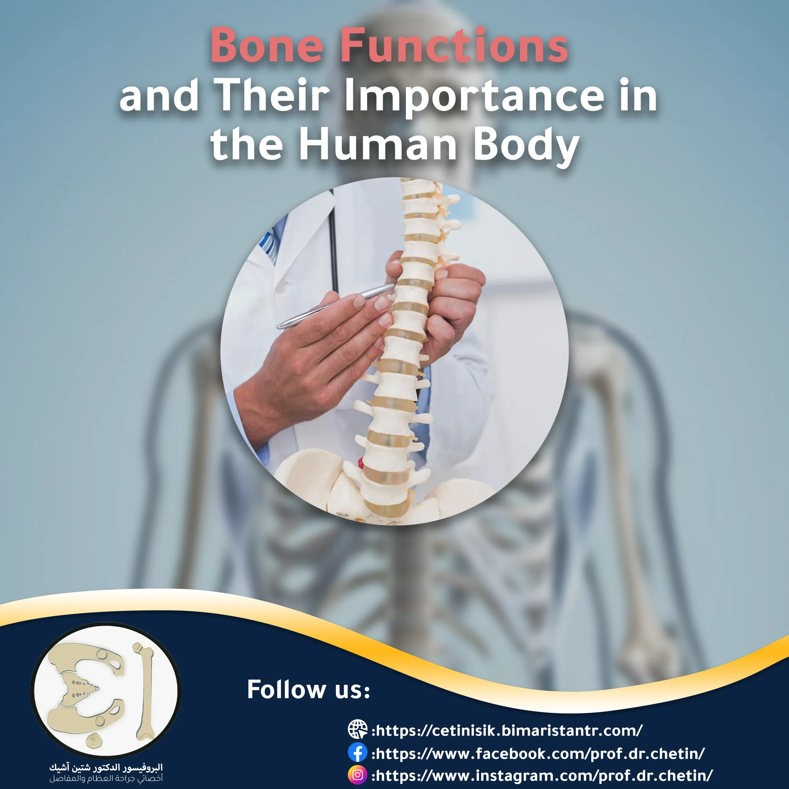 Bone functions and their importance in the human body - Dr. What's ...